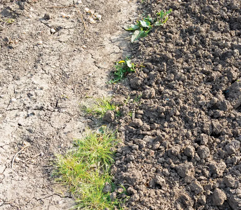 5 Best ways How to compact soil